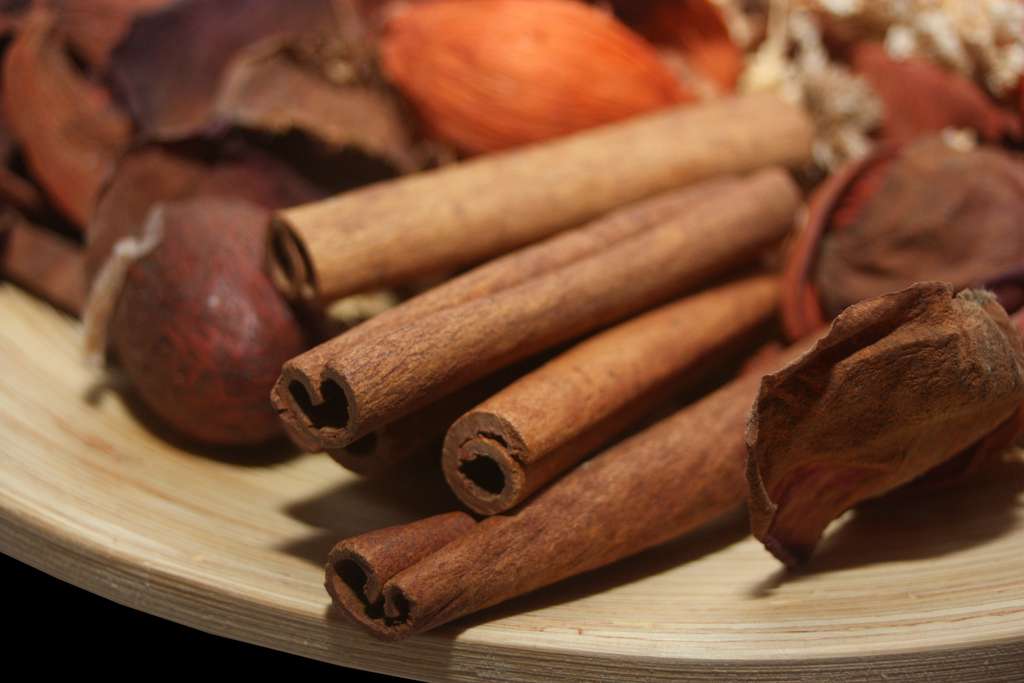 Définition | Cannelle - Cannelle de Ceylan - Cinnamomum verum | Futura ...