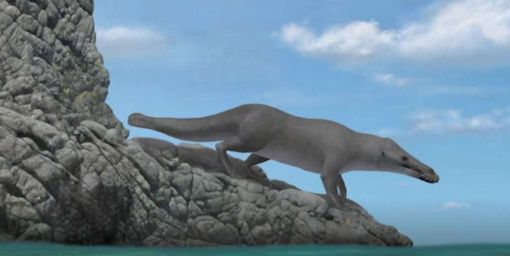 Brève | L'ancêtre de la baleine utilisait ses « mains » pour nager, et ...