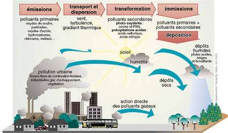 Conséquences des pluies acides | Dossier