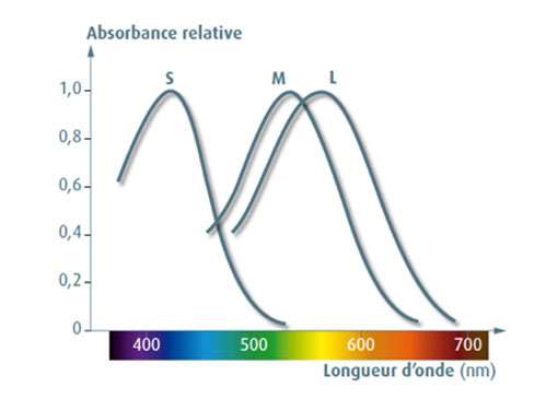 La vision des couleurs | Dossier