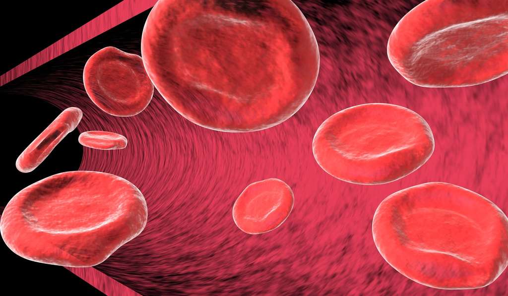 Vampires : une maladie du sang à l'origine du mythe