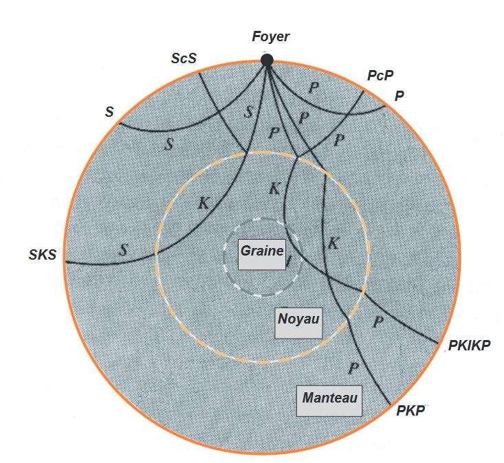 Comment les ondes sismiques ont-elles permis de comprendre la structure ...