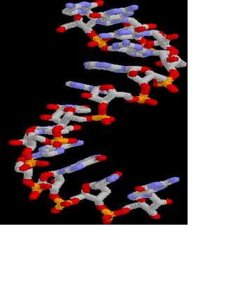Définition | Transcriptase inverse - Rétrotranscriptase | Futura Santé