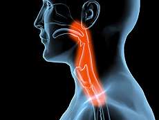 Définition | Manométrie oesophagienne | Futura Santé