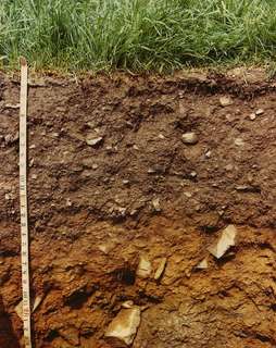 Définition | Ferralisation - Latérisation | Futura Planète