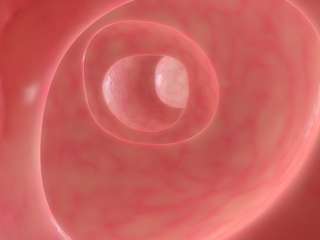 Définition | Endoscopie | Futura Santé