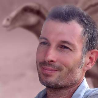 Le baluchithère : un géant fossile au Pakistan | Dossier