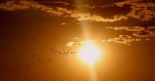 Cabinet de curiosités : l'héliographe, un appareil qui « enregistre » l ...