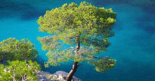 Tuto : Comment réaliser un effet de double exposition avec Adobe ...