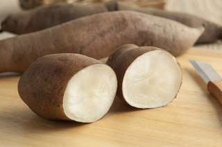 Définition | Tubercule | Futura Planète