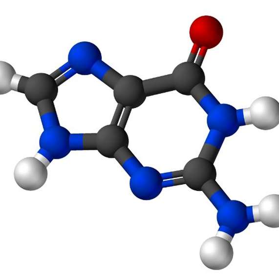 Guanine Molecular Structure