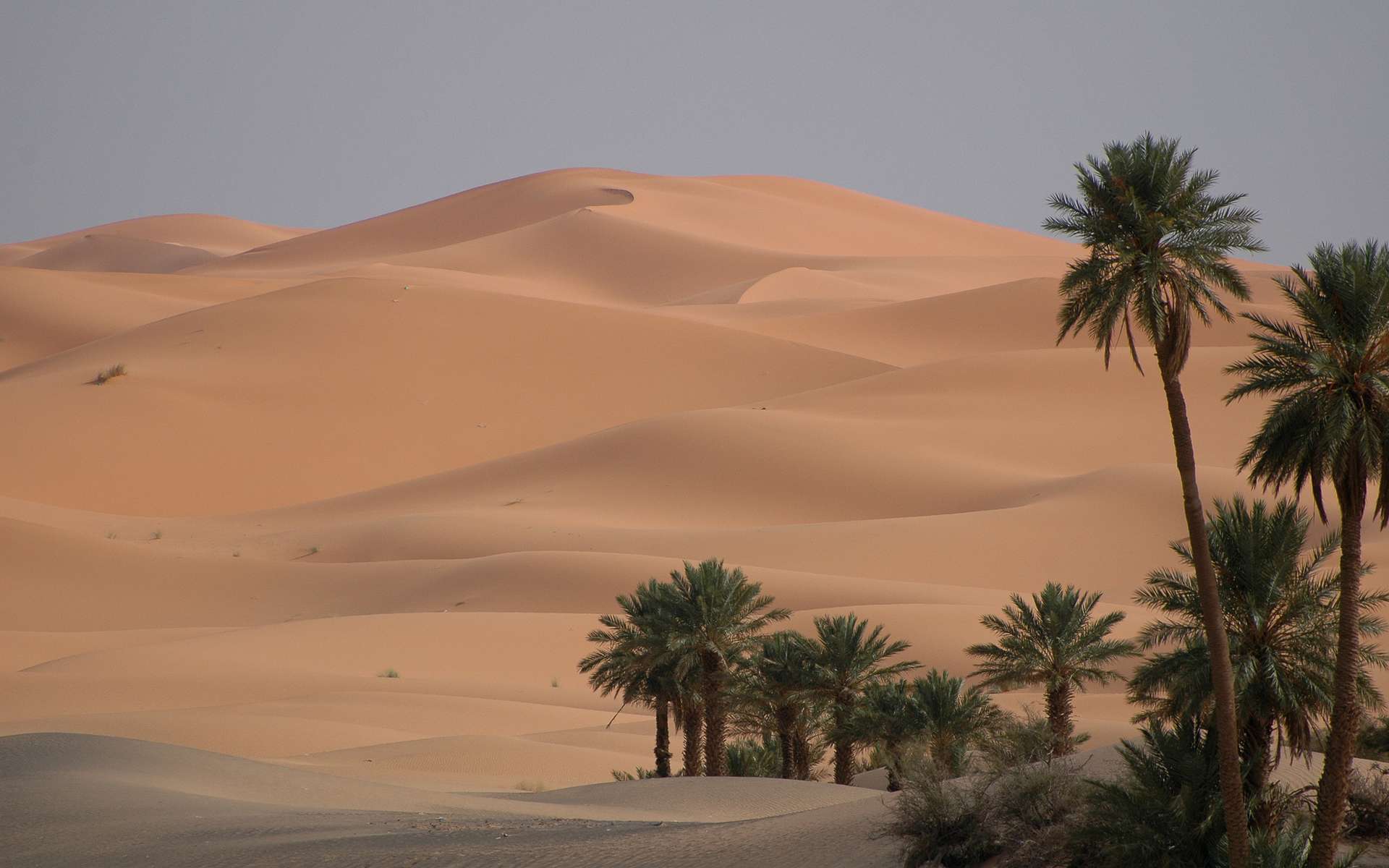 Définition | Silice | Futura Planète