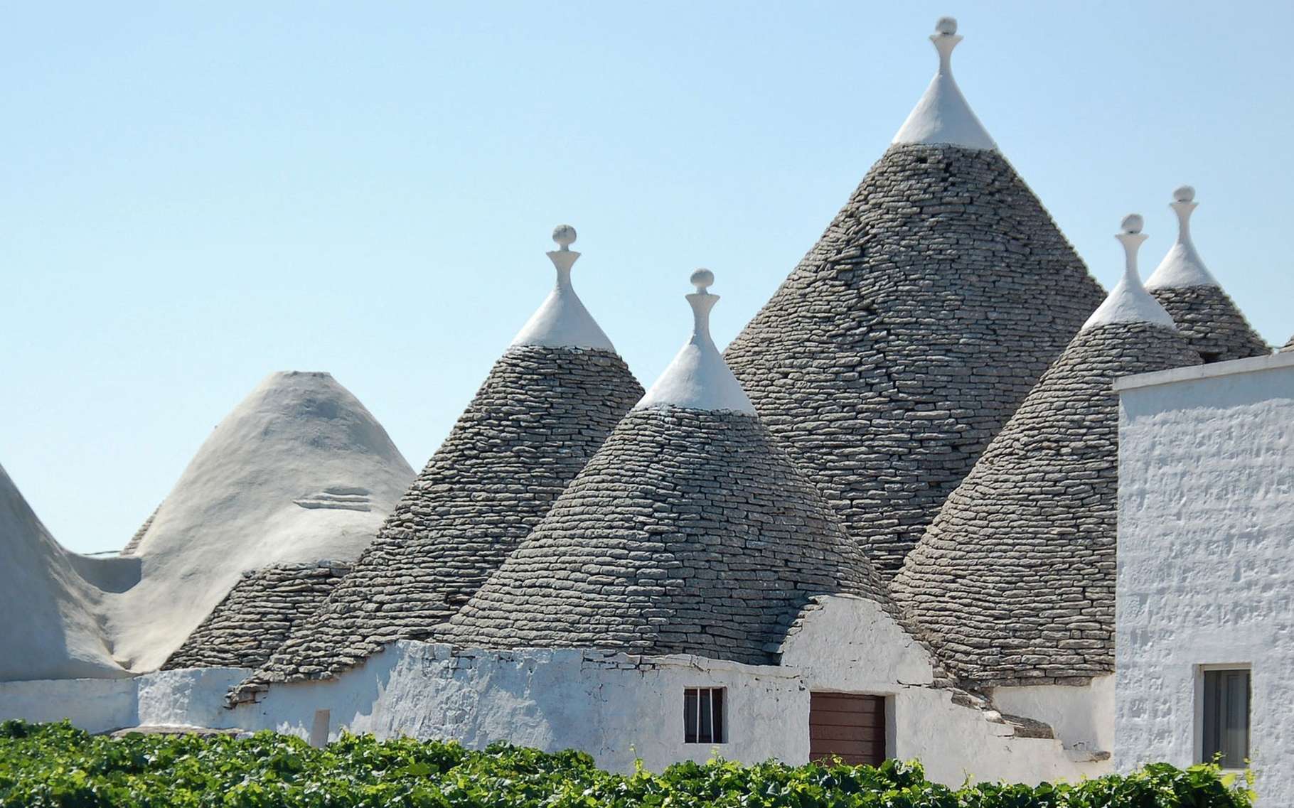 Mathématiques : qu’est-ce qu’une conique