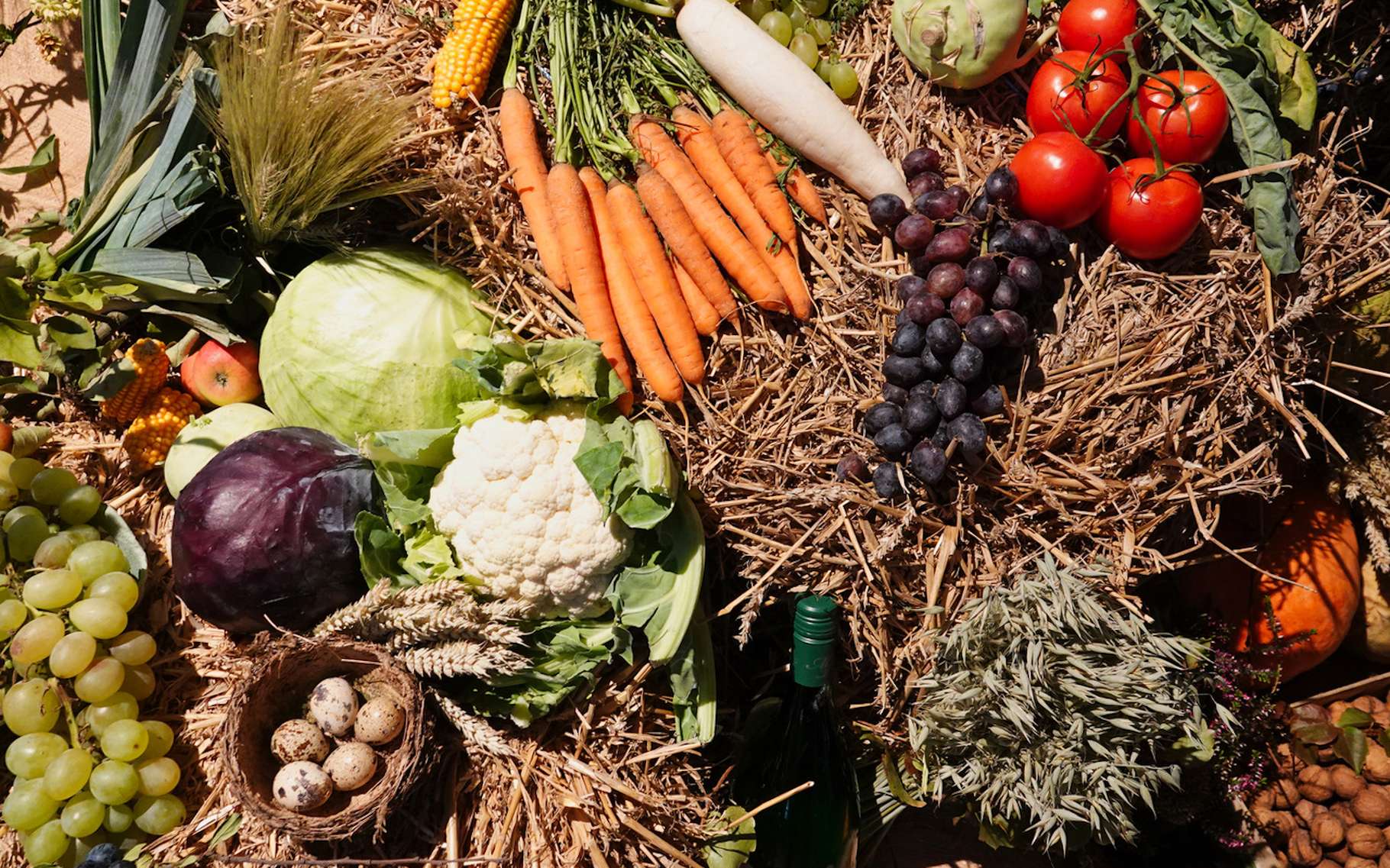 Manger bio régulièrement réduirait le risque de cancer