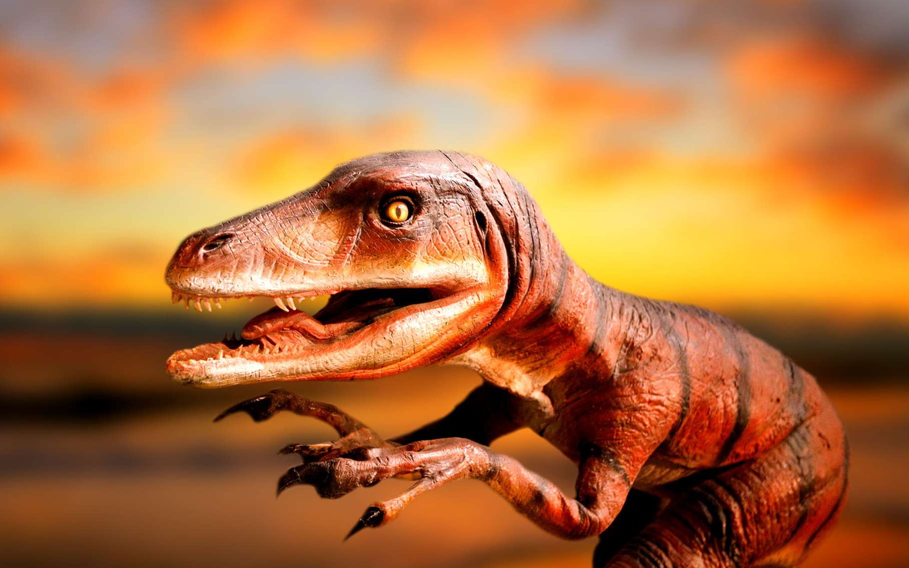 Géochimie et paléontologie, un mariage réussi ! | Dossier