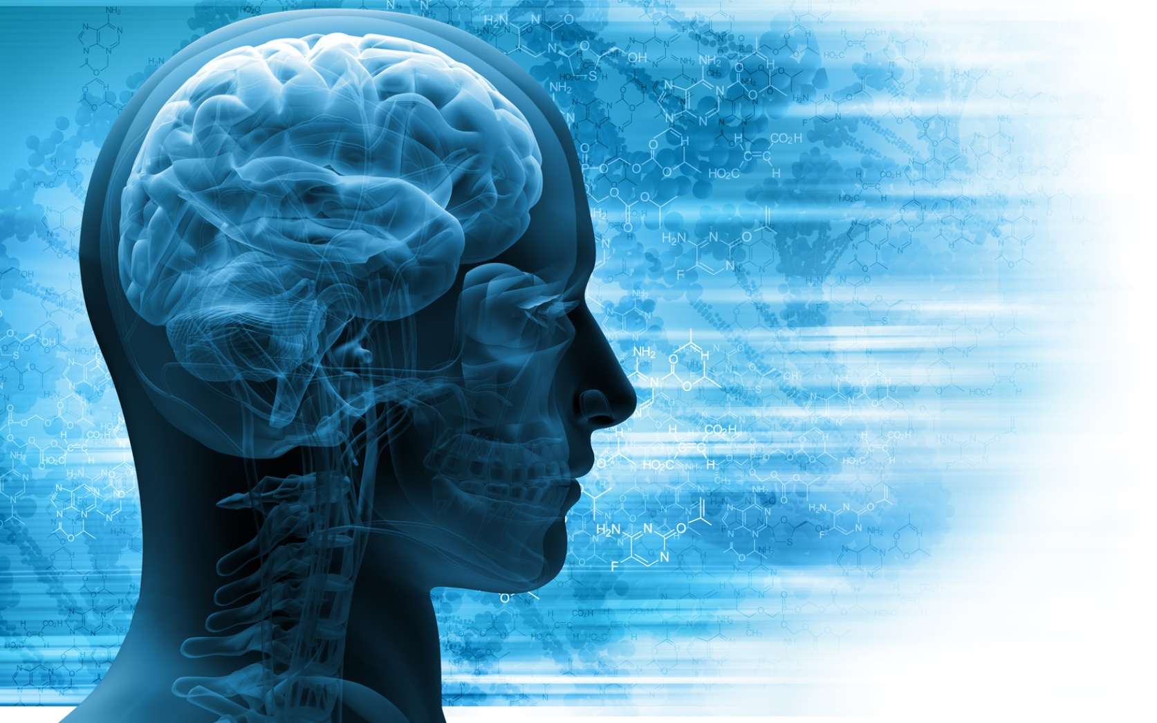 Définition | NeuroSpin | Futura Santé