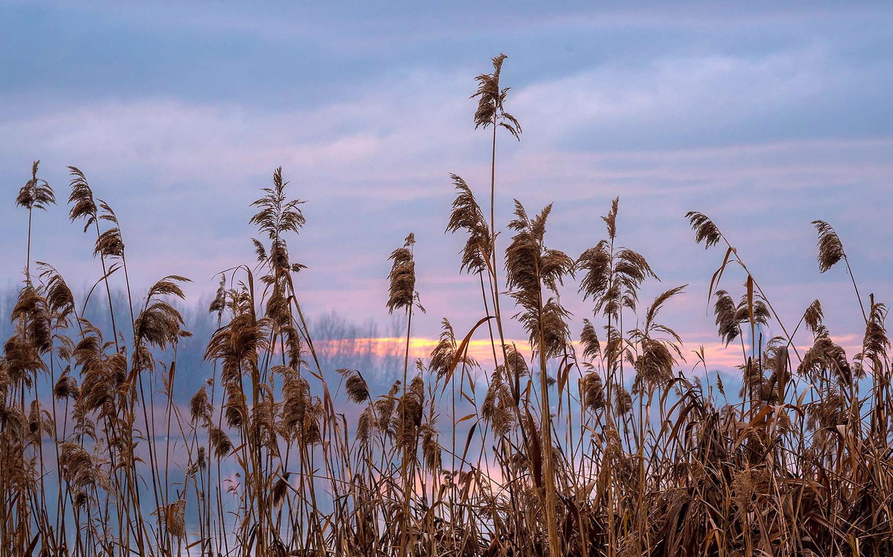 Pour aller plus loin | Dossier