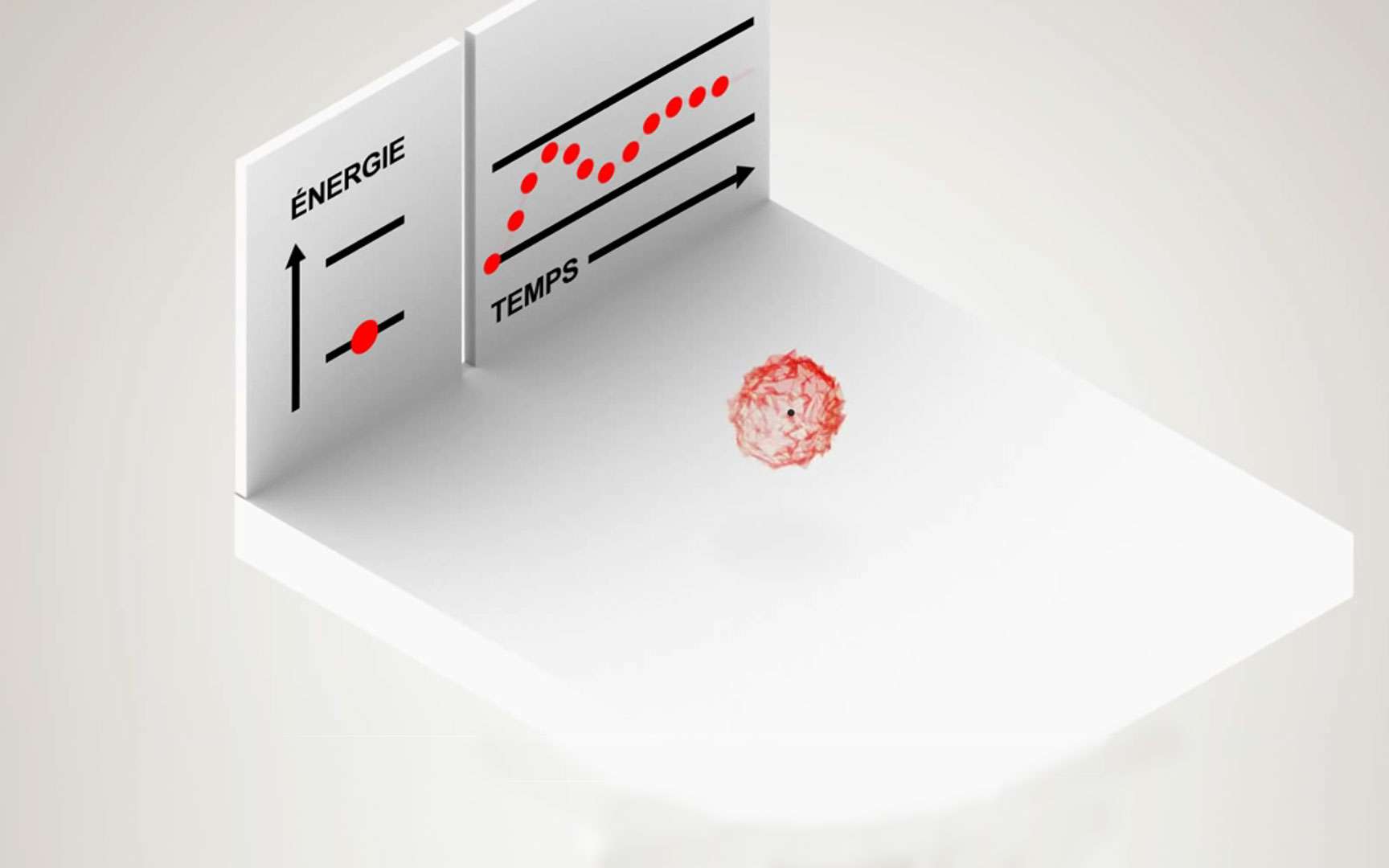 Tout est quantique : comment fonctionne le principe de superposition