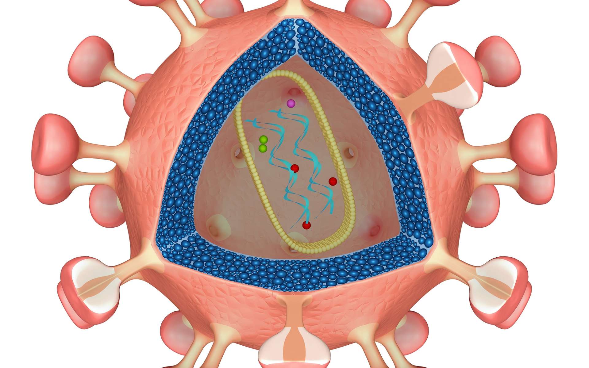 Définition | Tat - Protéine Tat | Futura Santé
