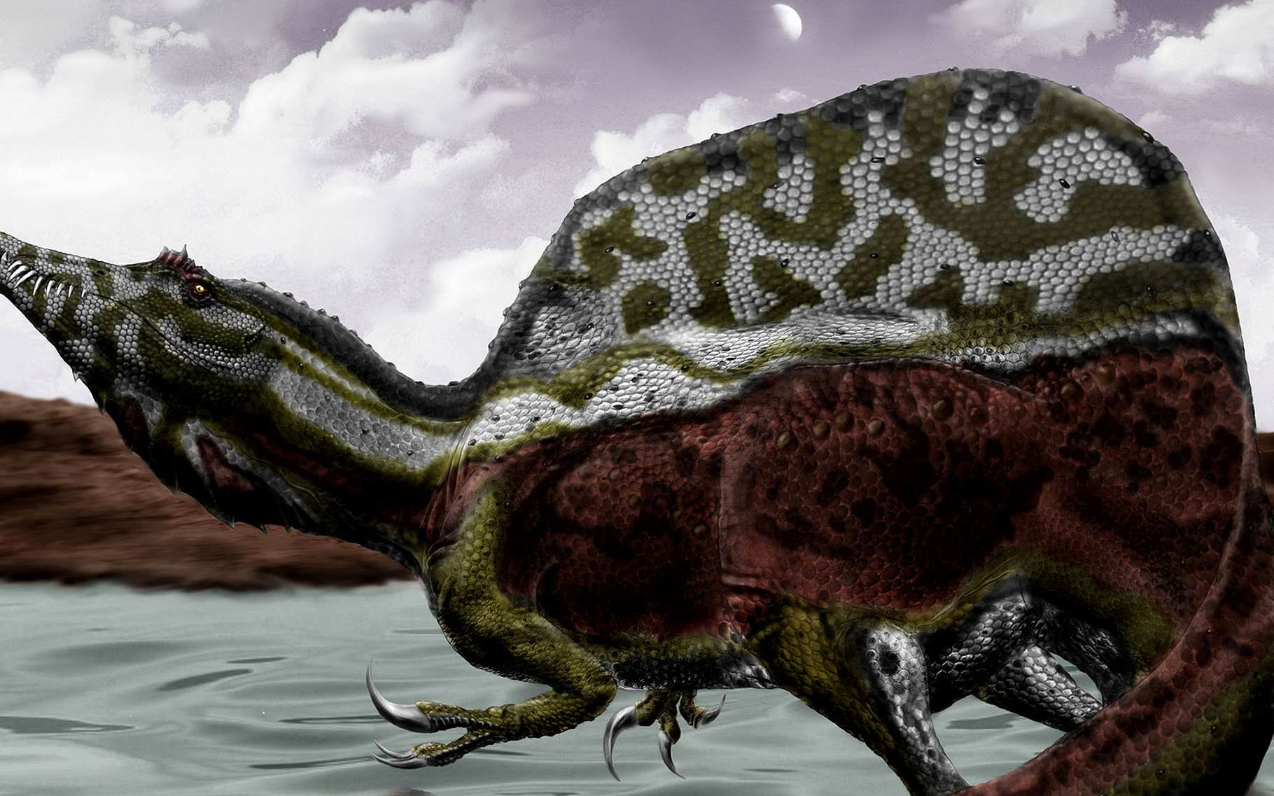 Le Spinosaurus : un dinosaure pêcheur ? | Dossier