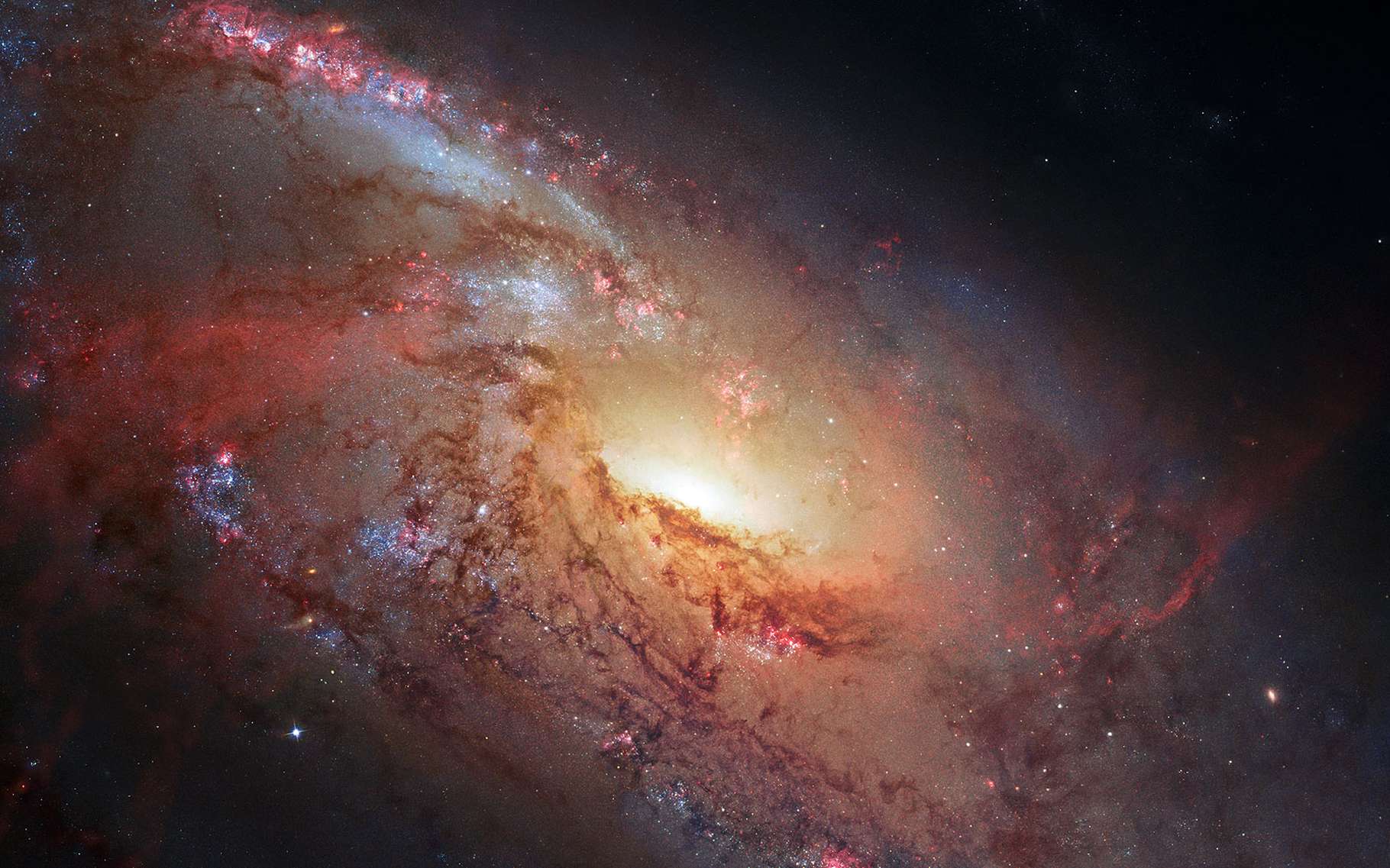 L'évolution des galaxies dans l'Univers | Dossier