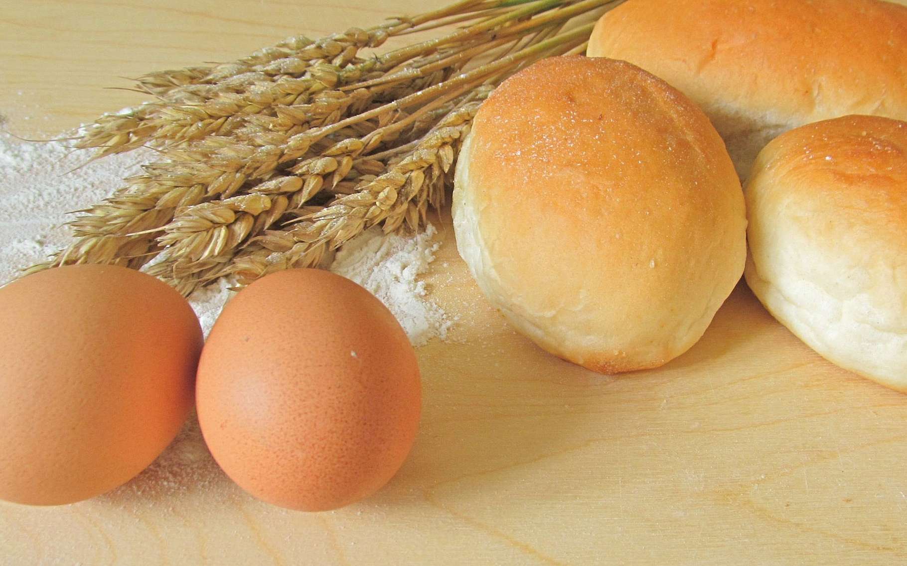 Le seigle : pour aller plus loin | Dossier