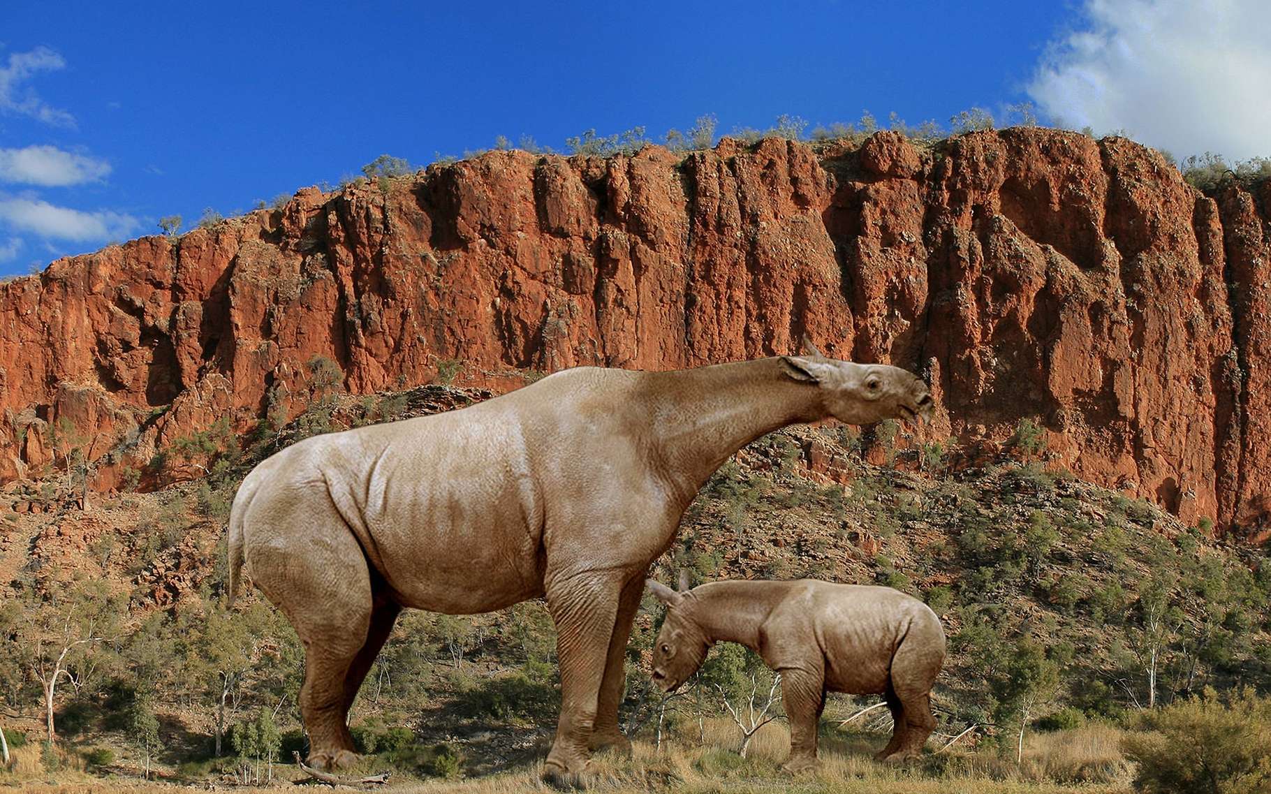 Le baluchithère : un géant fossile au Pakistan | Dossier