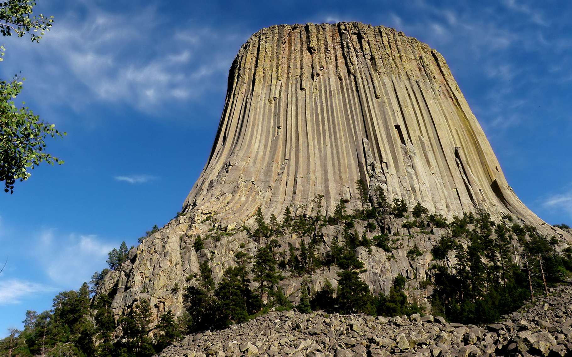 Les orgues volcaniques | Dossier