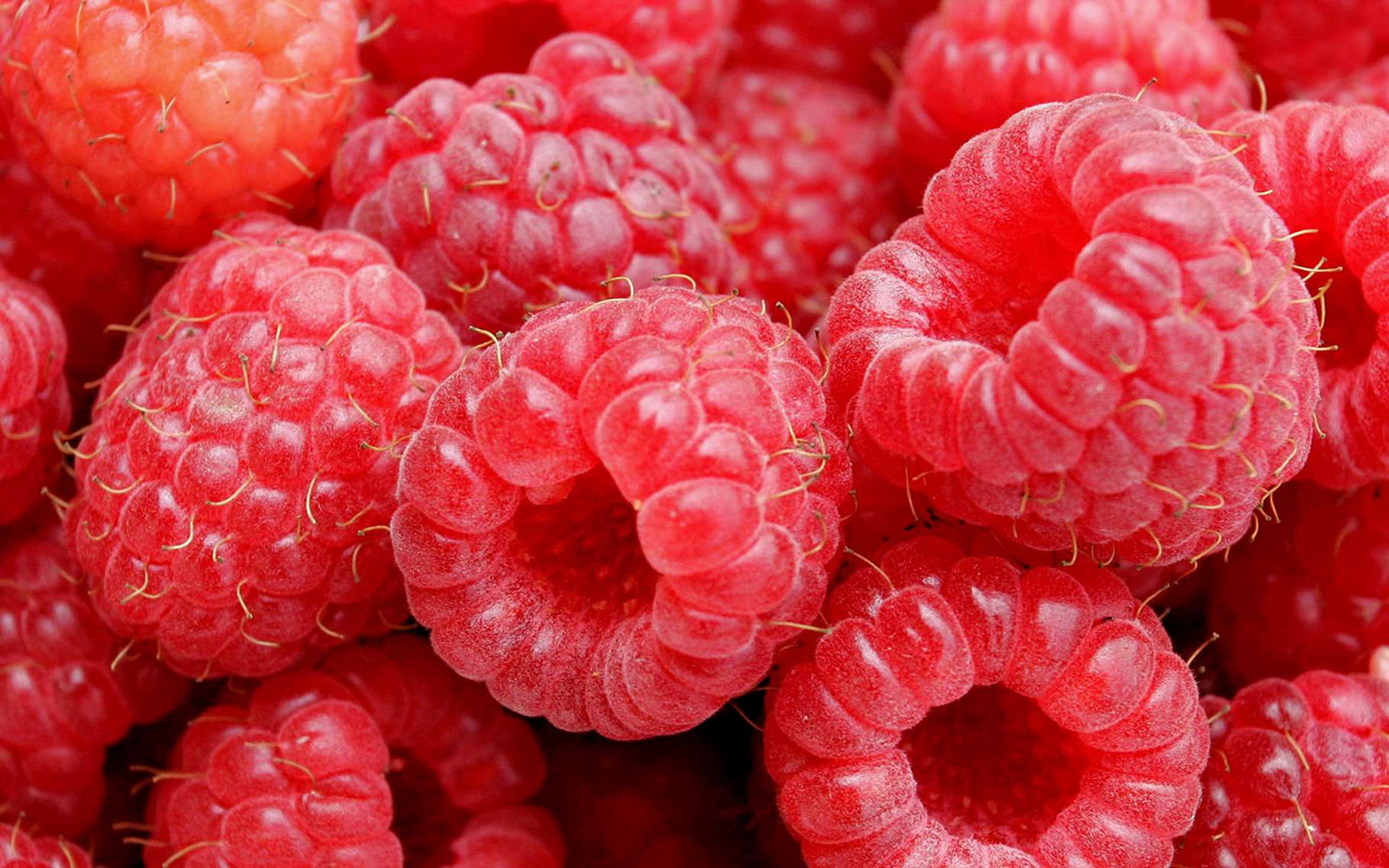 Les secrets des fruits et légumes | Dossier