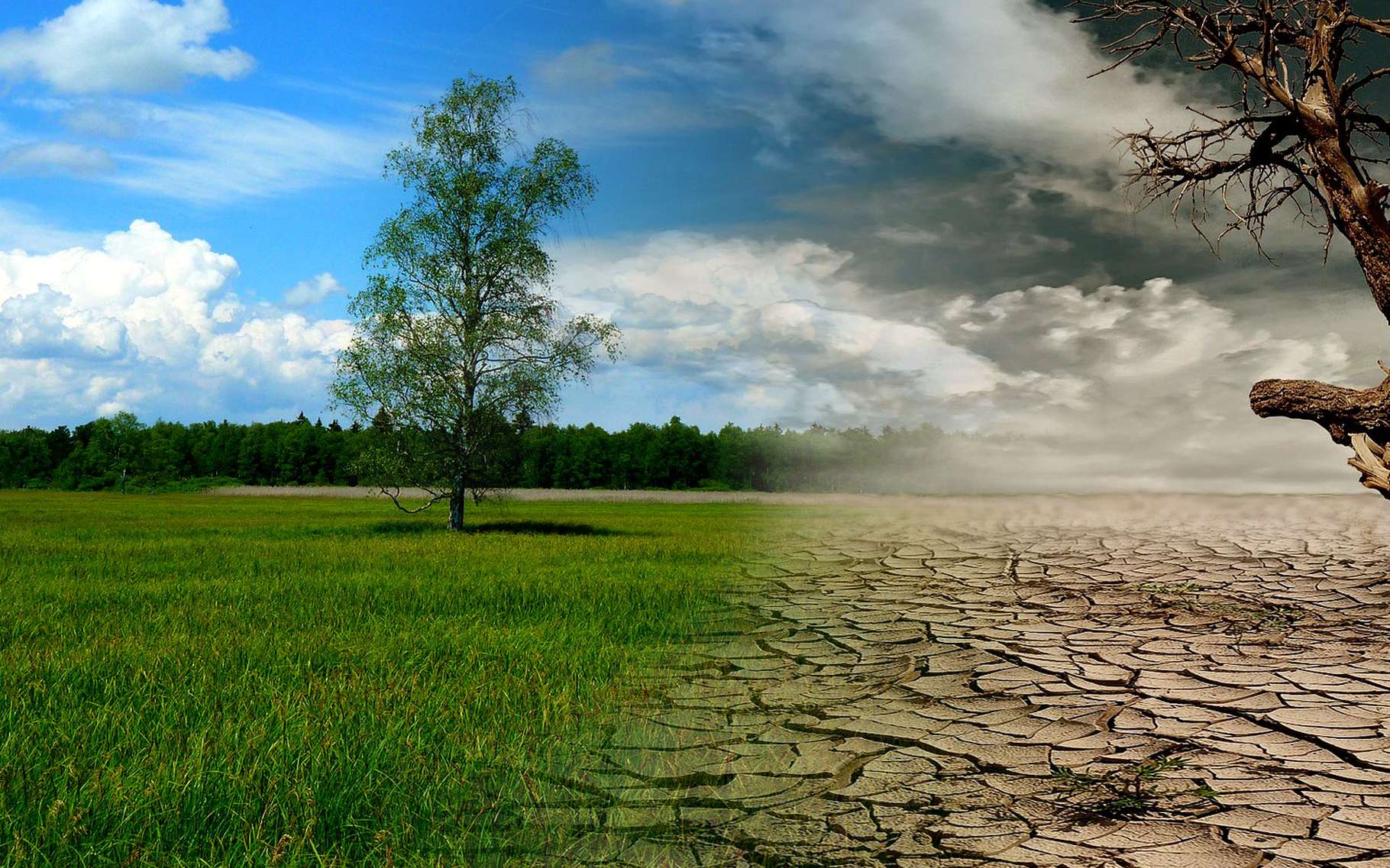 L'histoire du climat | Dossier