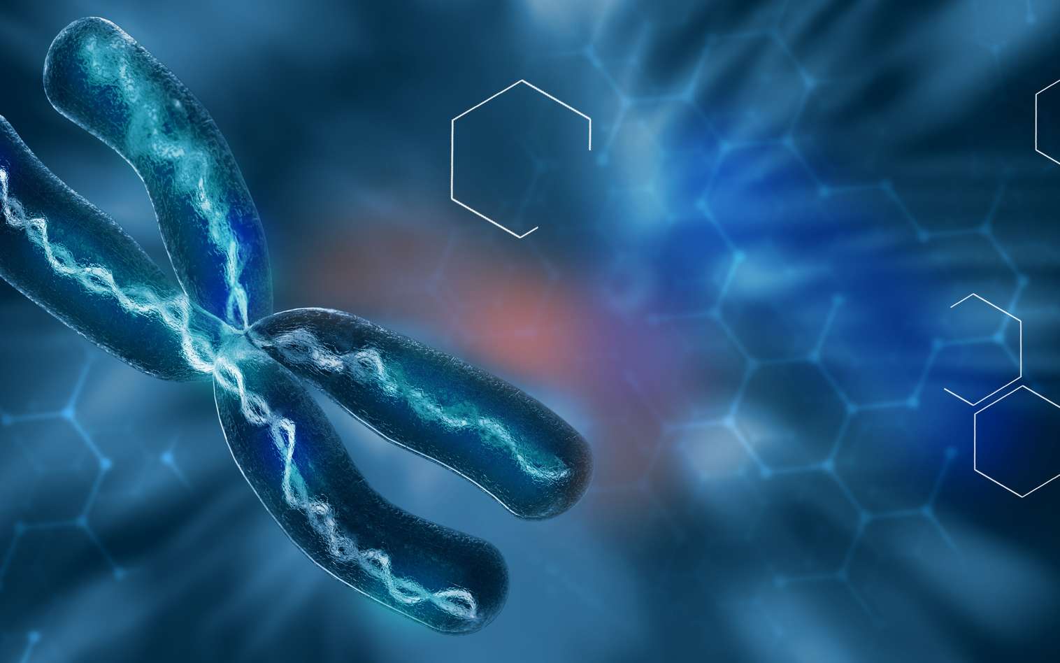 Définition | Aberration chromosomique - Anomalie chromosomique | Futura ...