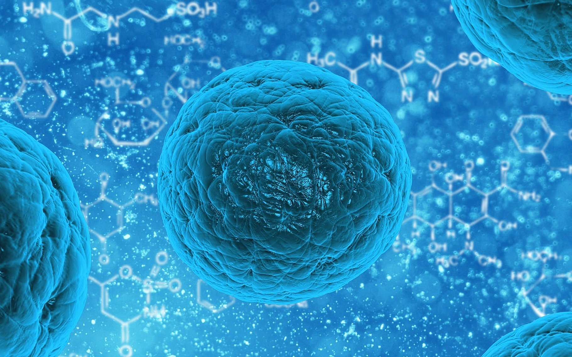 Cellules souches et médecine régénératrice | Dossier