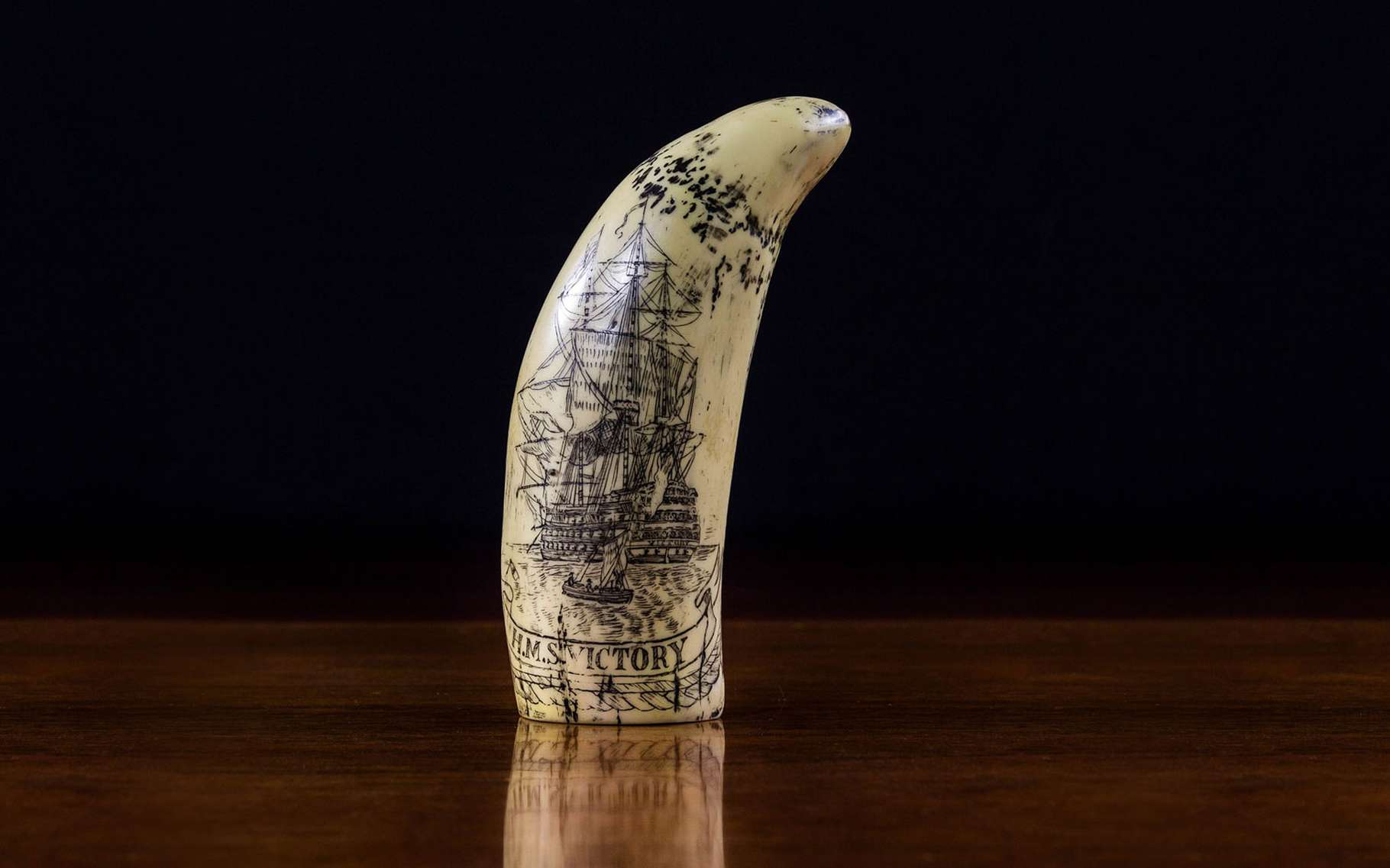 Prises d'ivoire et d'objets en ivoire faites par les douanes françaises ...