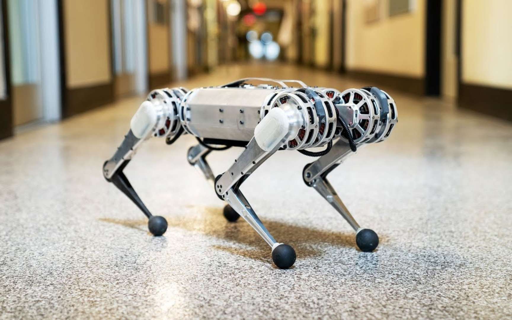 Cheetah, le robot du MIT, sait faire des sauts périlleux arrière