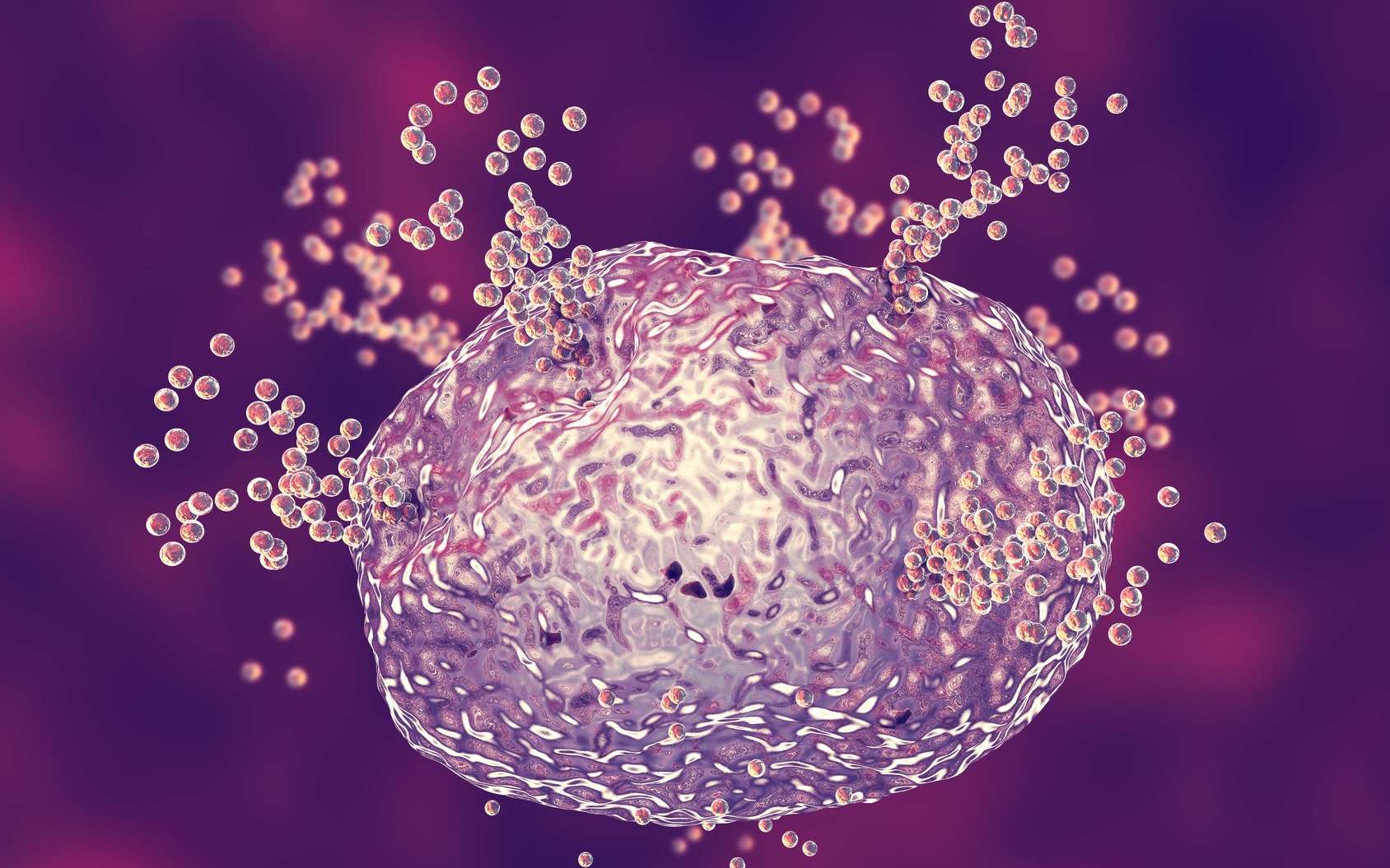 Définition | Mastocyte | Futura Santé