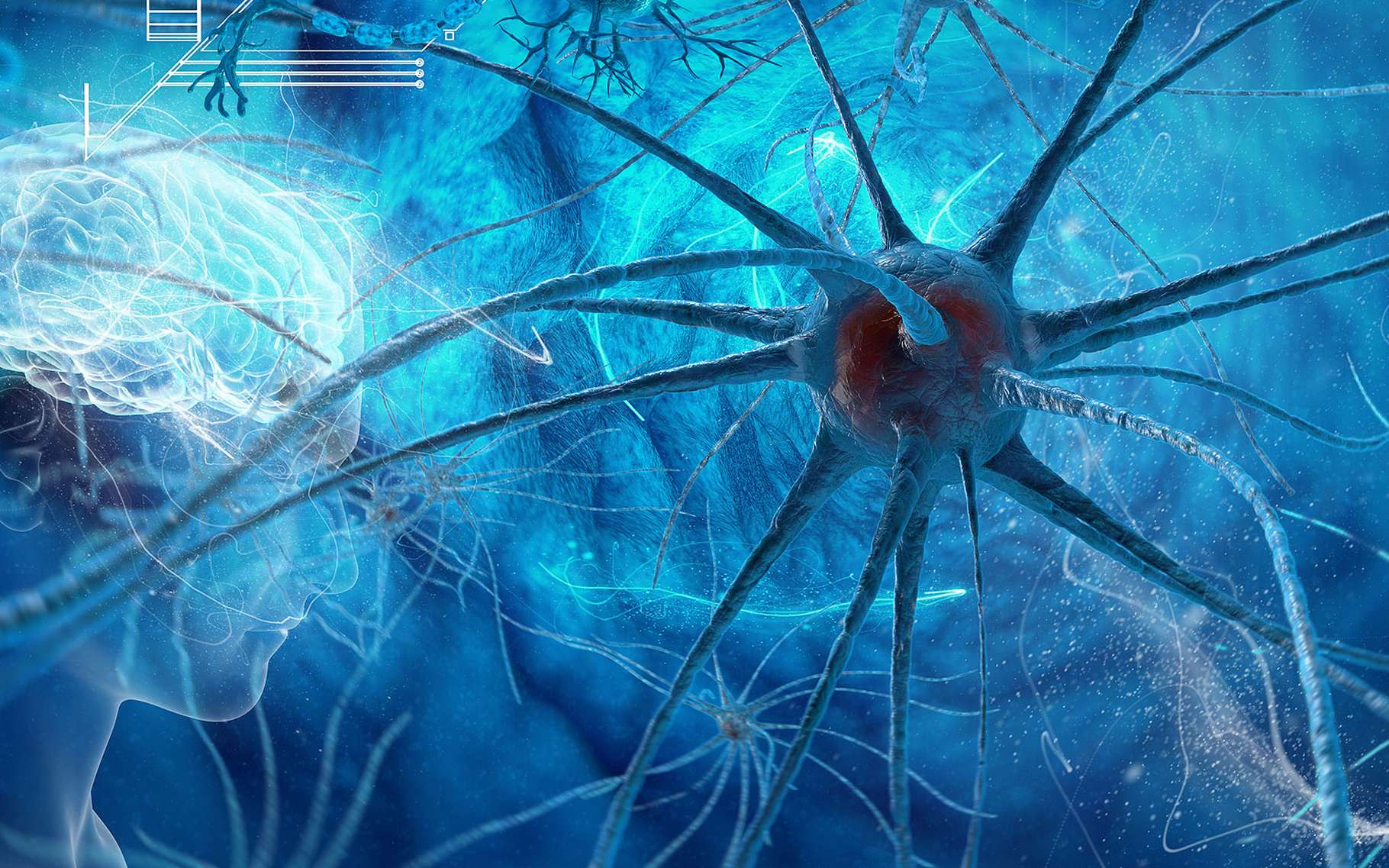 Biologie de la Communication Cellulaire | Dossier