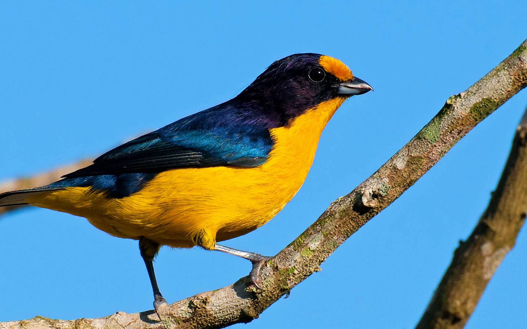 Photos | Voyage au Costa Rica, ce paradis sur terre, en 20 photos