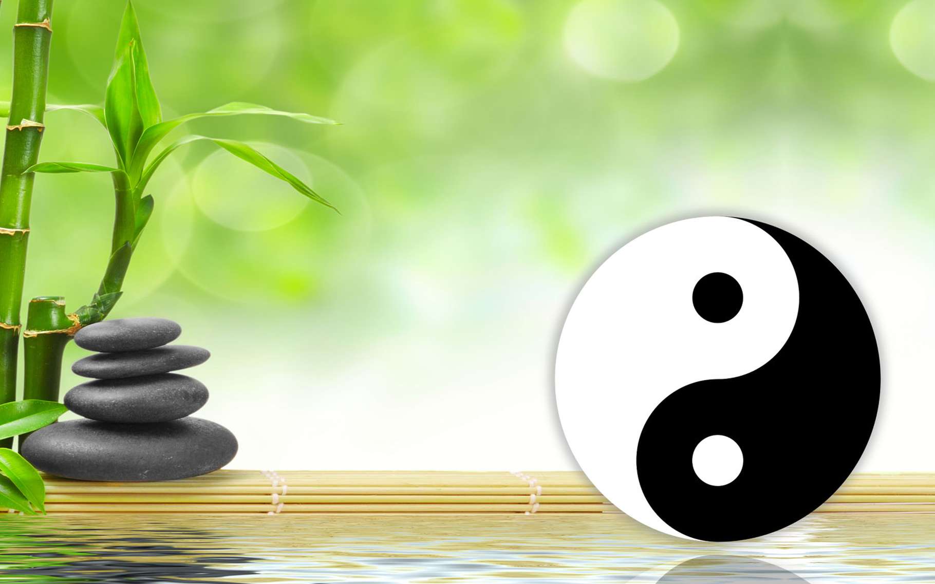 Lien entre physique et psychique | Dossier