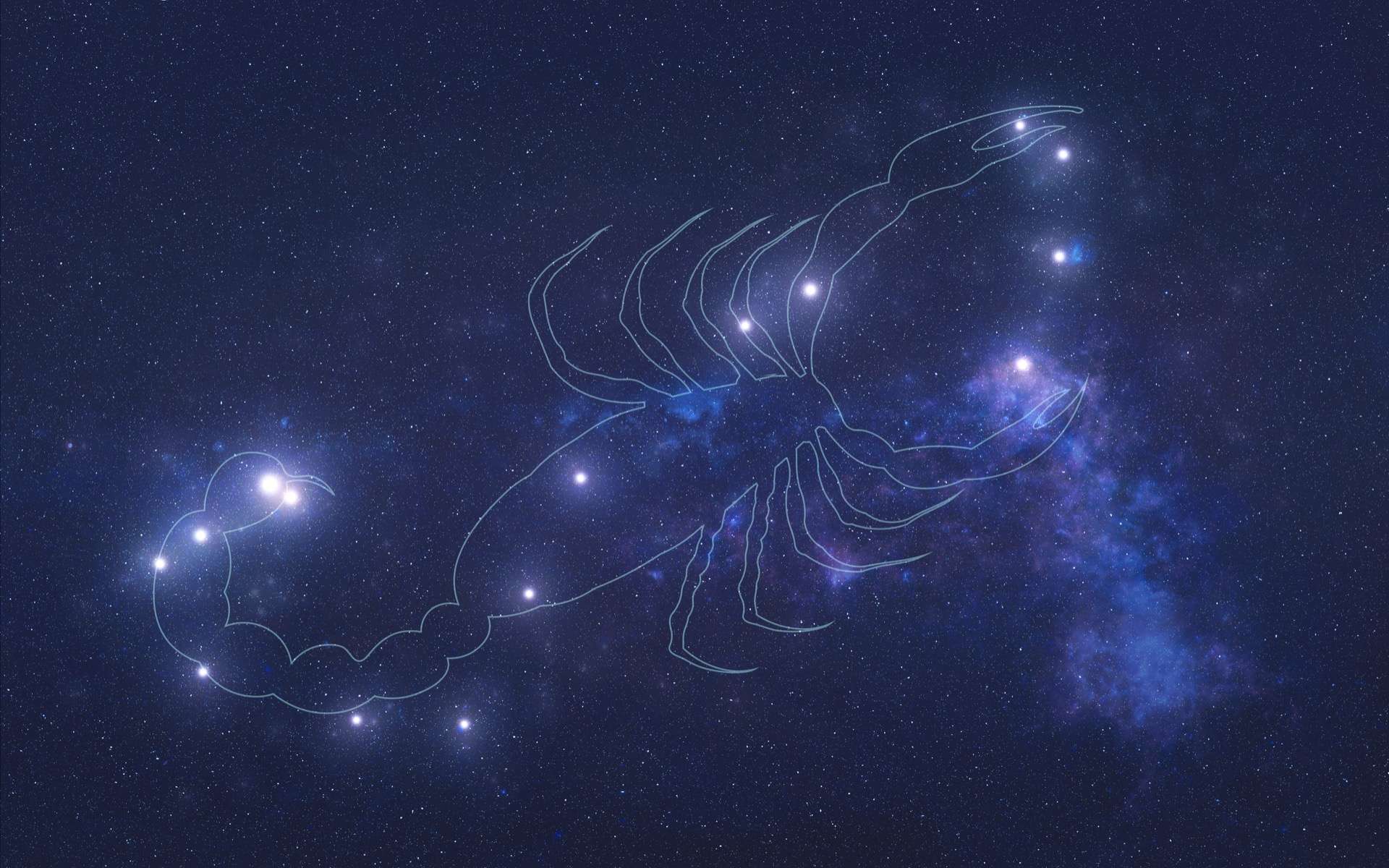 Signification Du Scorpion