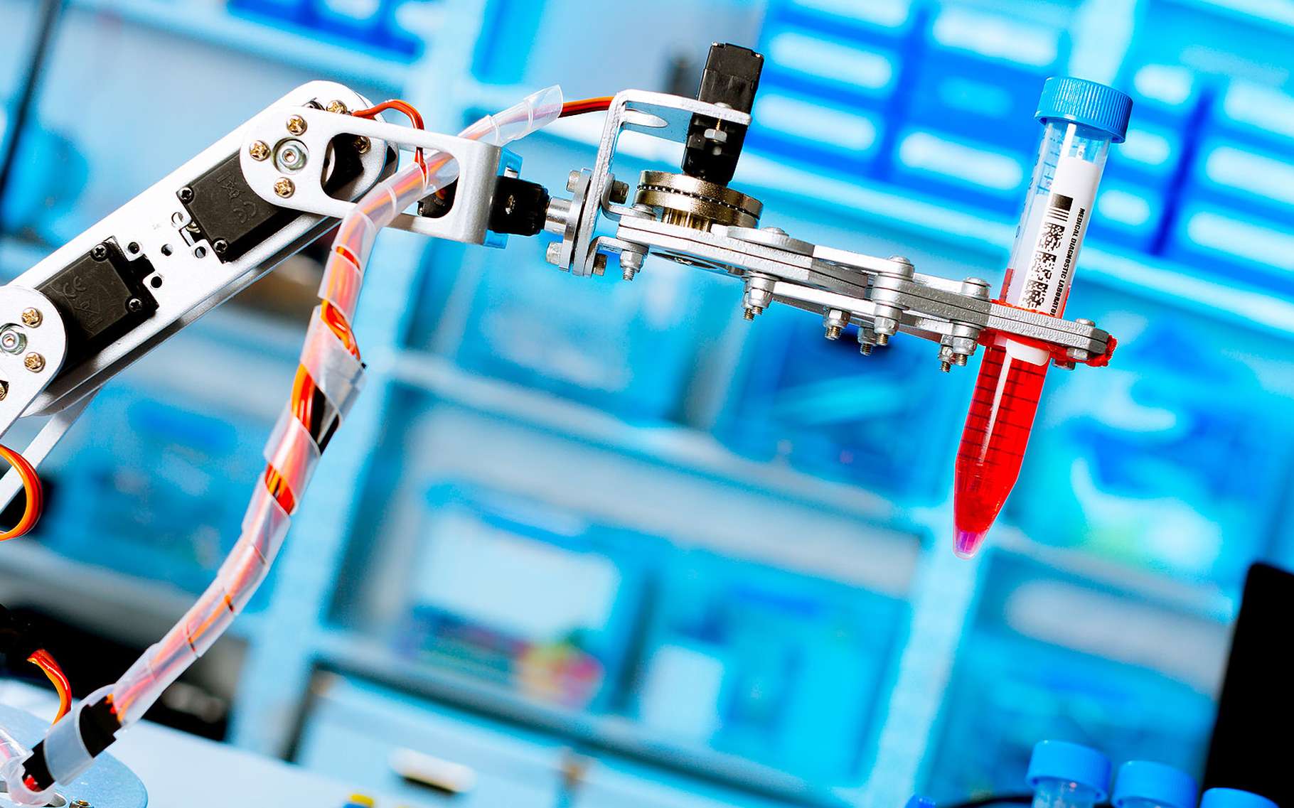 La robotique du collège à l'université | Dossier