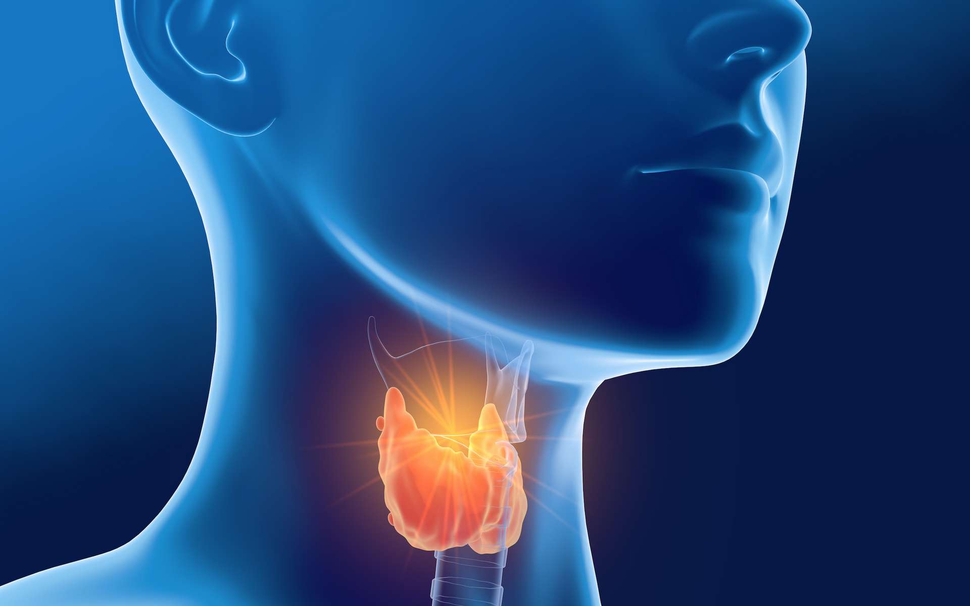 Définition | Maladie de Basedow | Futura Santé