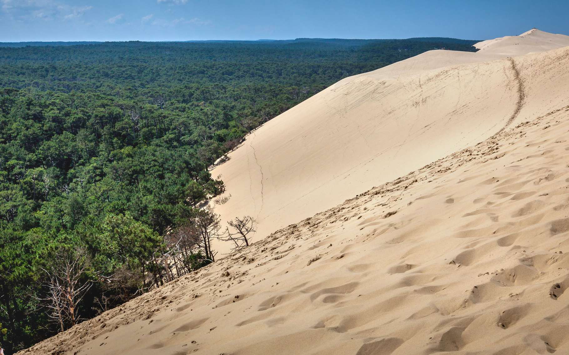 Tourisme dans les Landes | Dossier