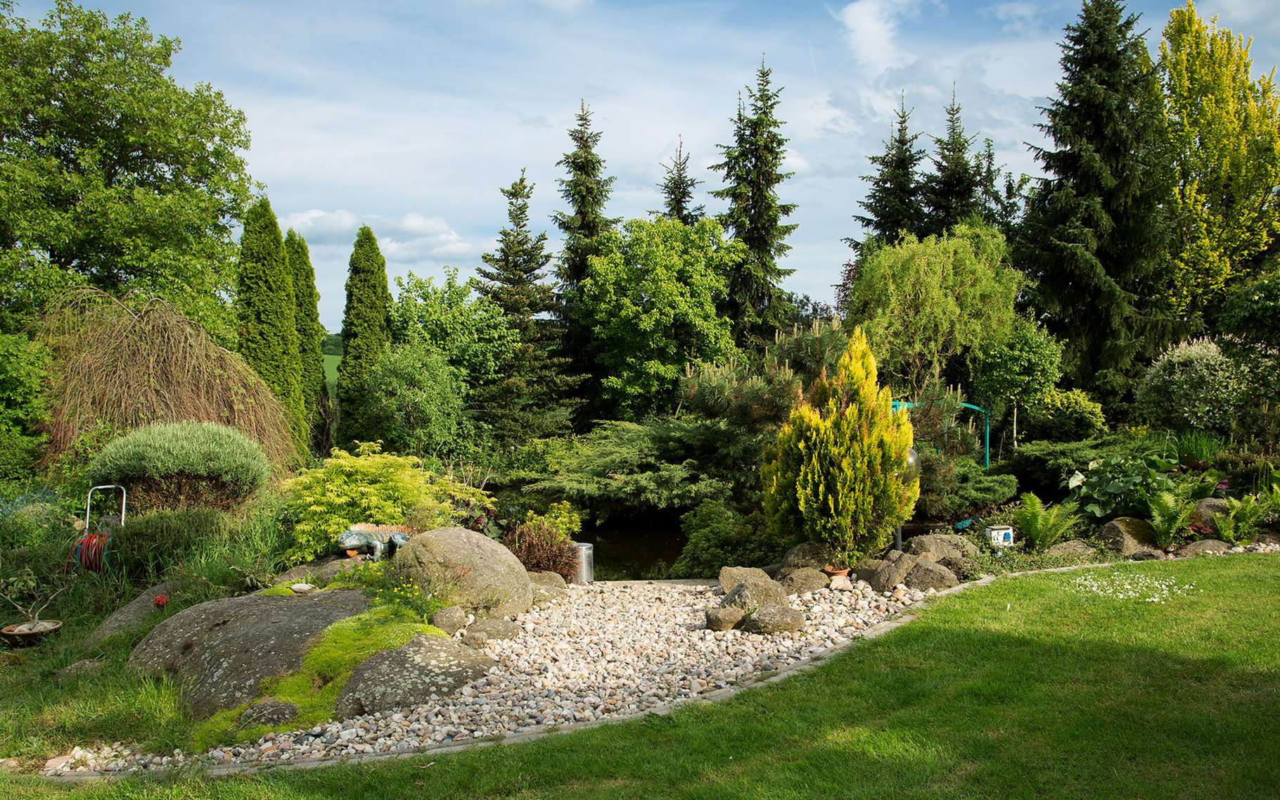 Des conifères dans votre jardin | Dossier