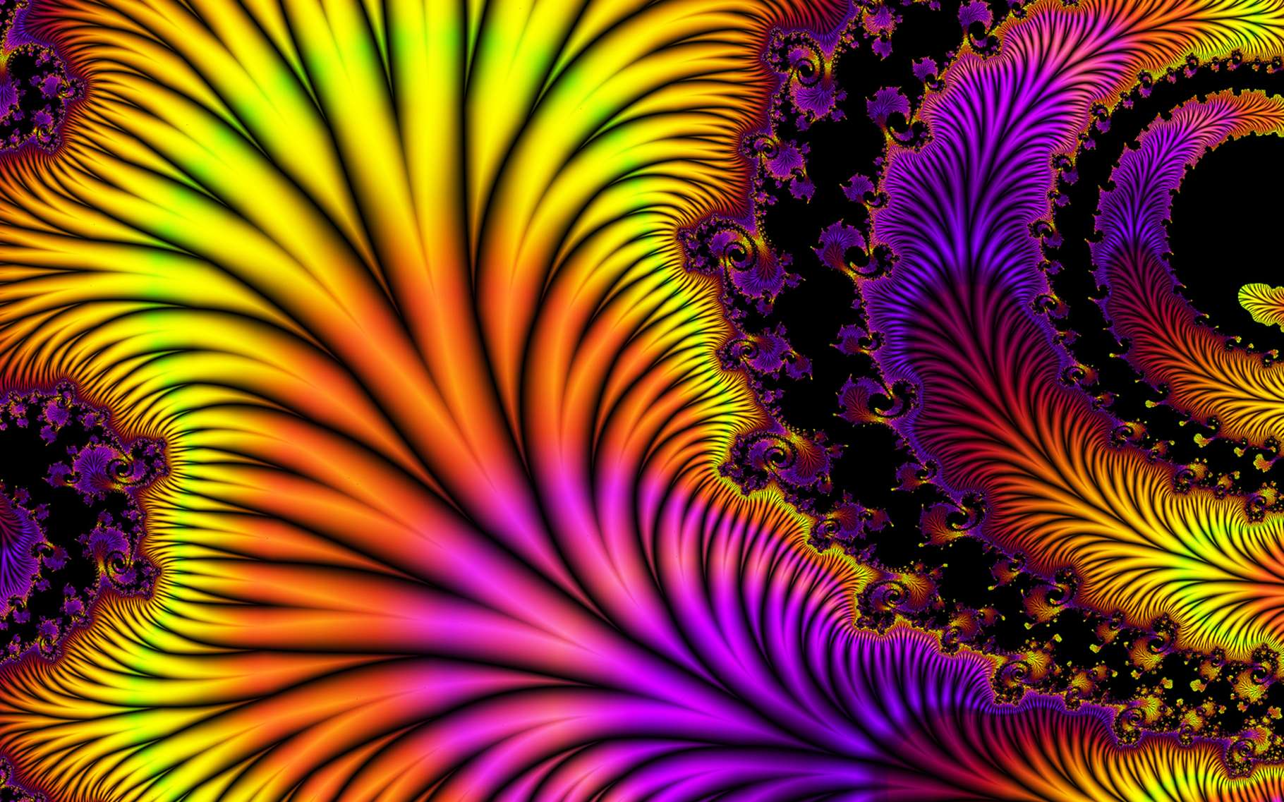 Les fractales | Dossier