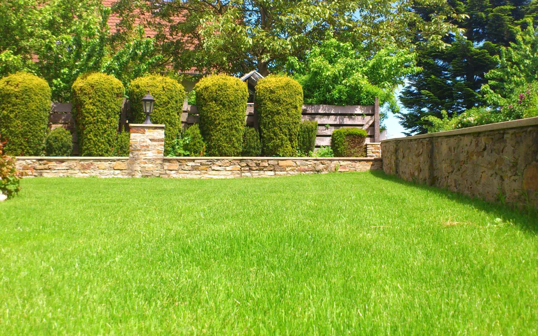 En savoir plus sur le gazon | Dossier