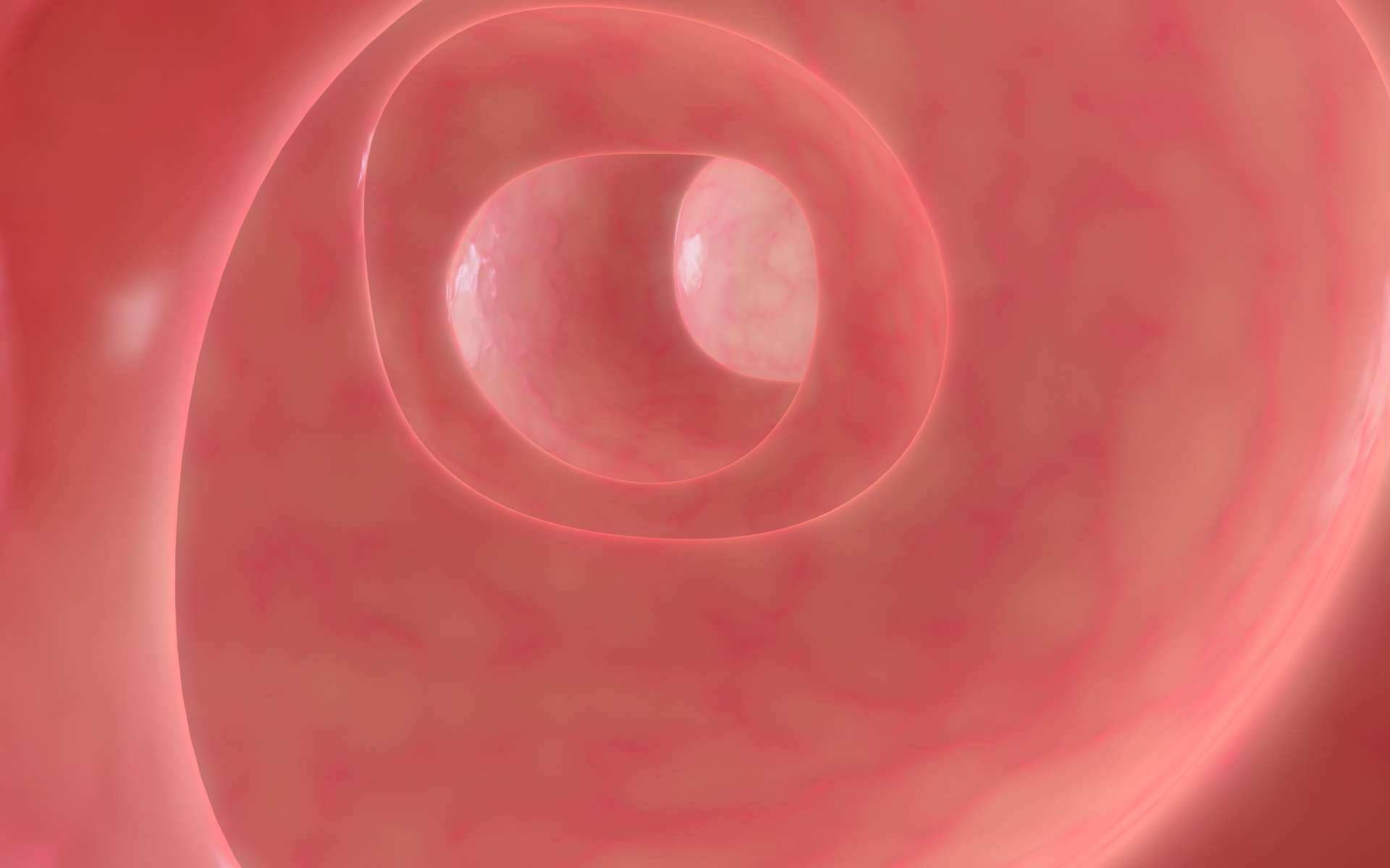 Définition | Coloscopie | Futura Santé