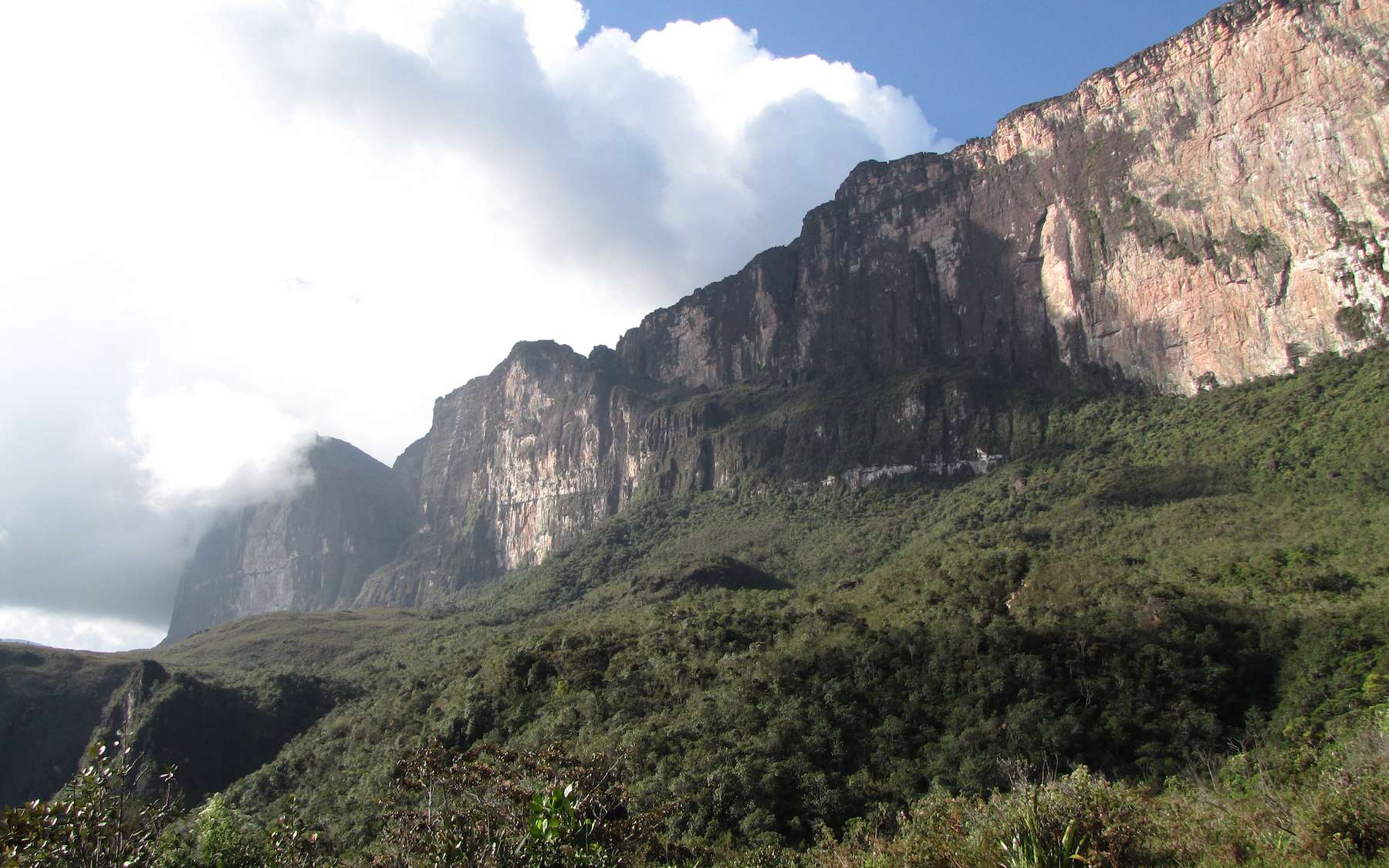 Définition | Tepuy - Tepui | Futura Planète