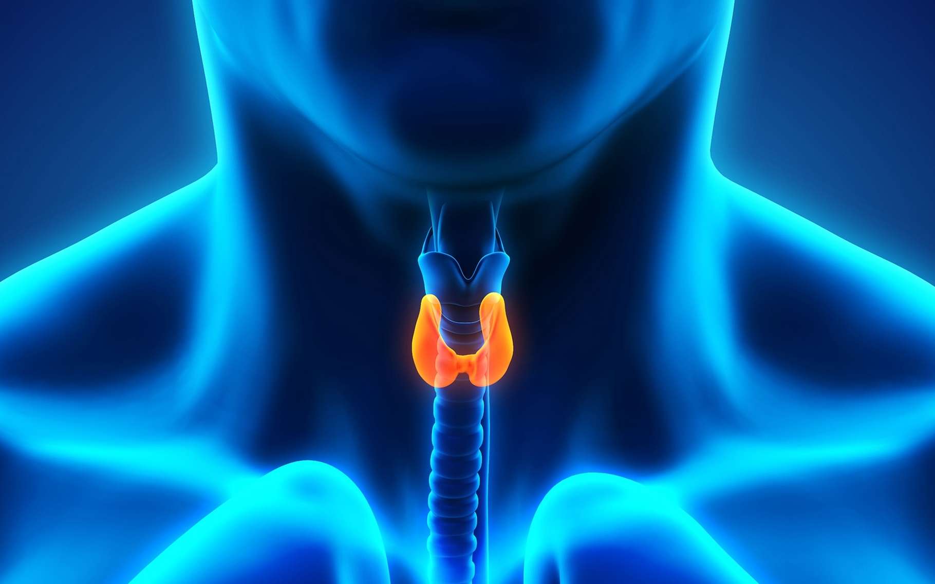 Définition | Cancer de la thyroïde | Futura Santé