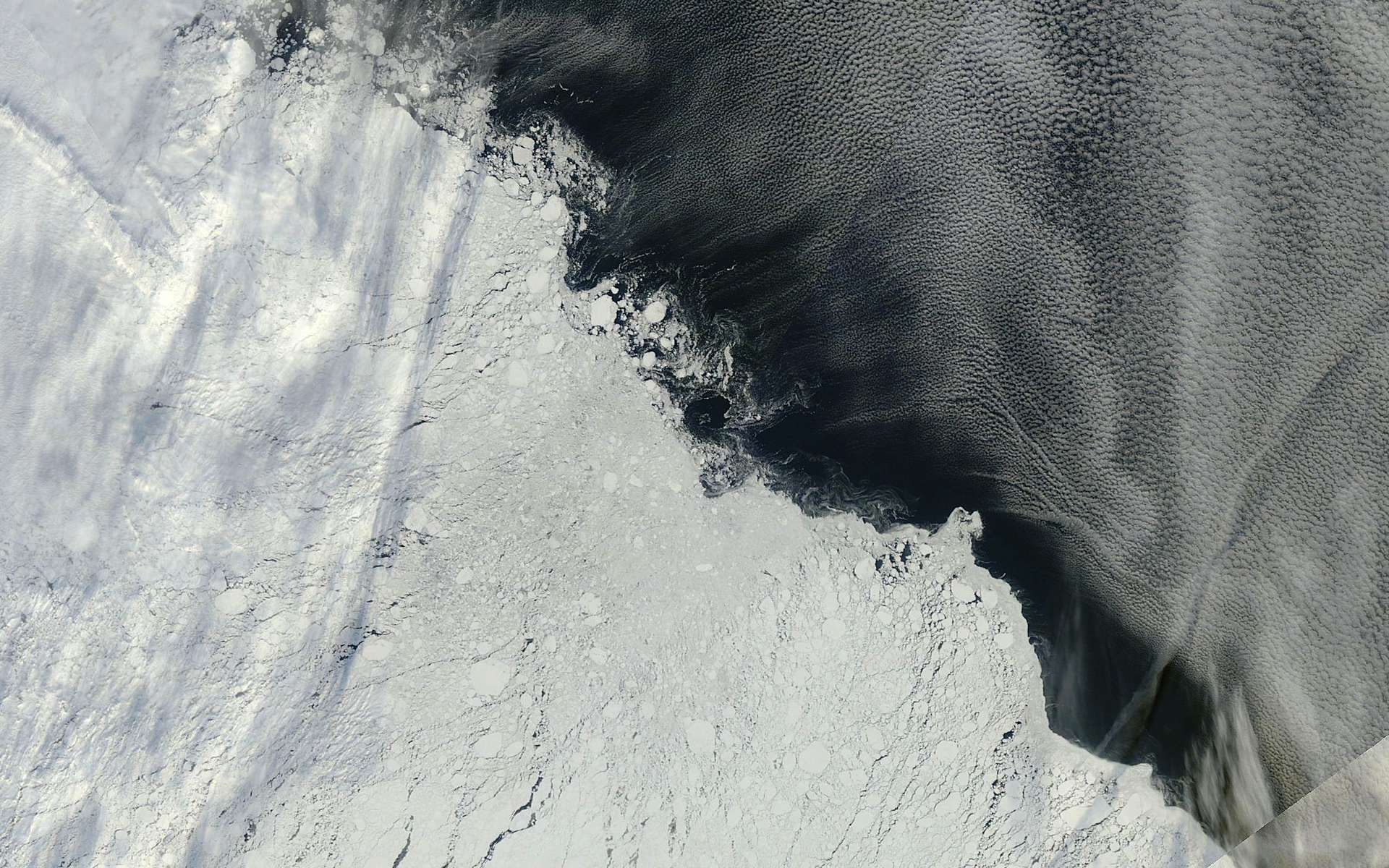 En vidéo : la sixième plus grosse fonte de la banquise arctique cet été
