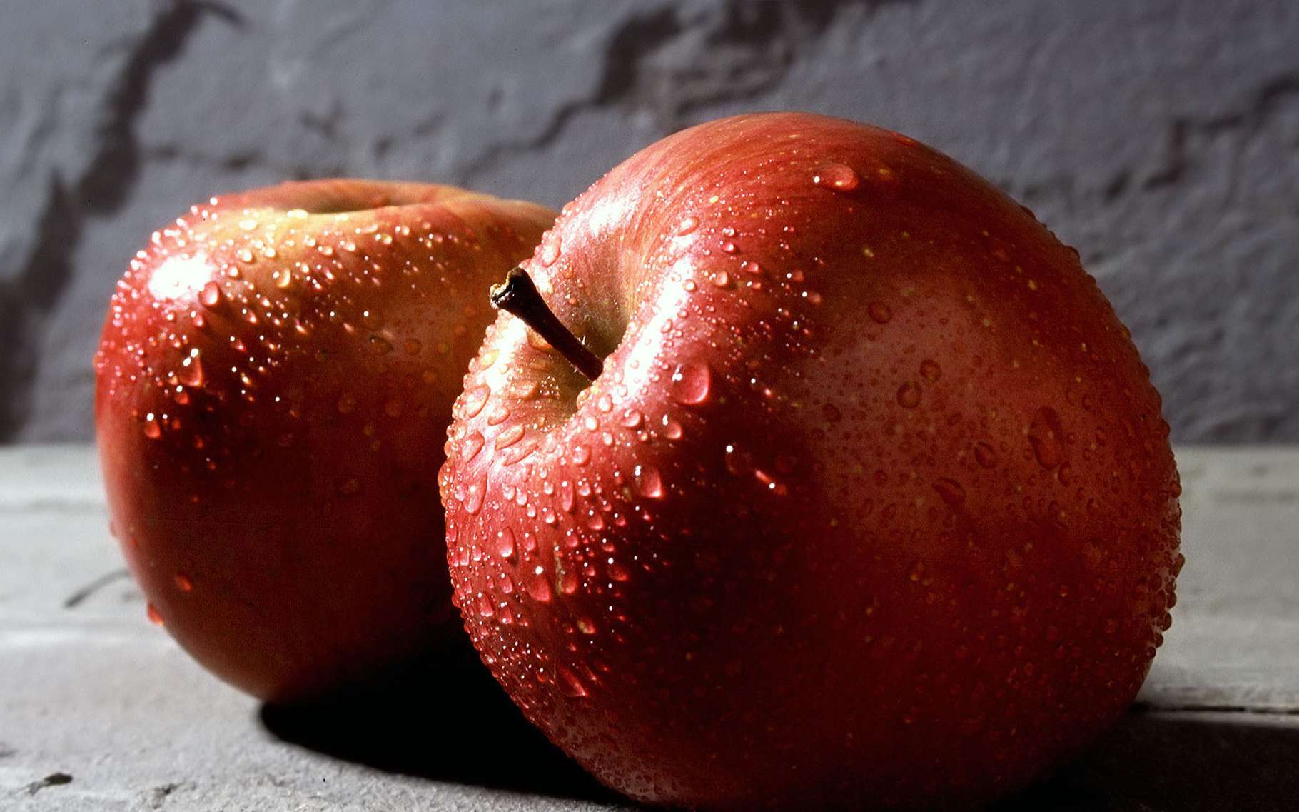 Le pommier, un arbre aux multiples variétés | Dossier